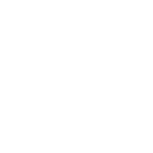 Champion Fundraising Auctions: Your Charity Auction Specialists